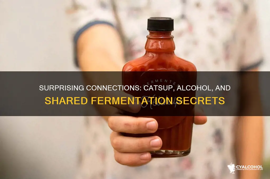 Surprising Connections: Catsup, Alcohol, And Shared Fermentation ...