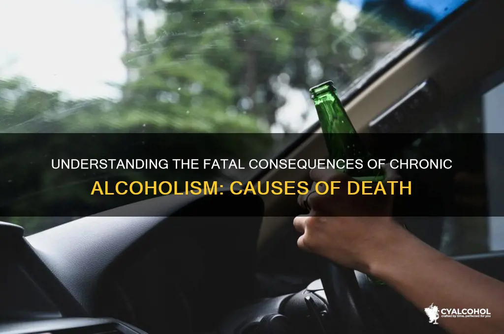 Understanding The Fatal Consequences Of Chronic Alcoholism: Causes Of ...
