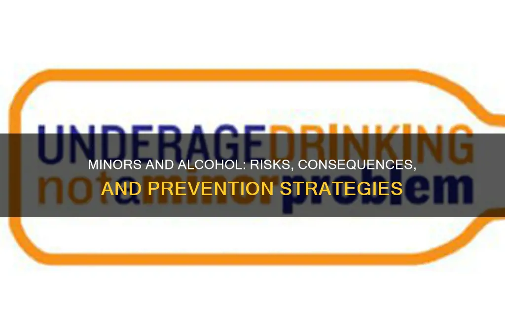 Minors And Alcohol: Risks, Consequences, And Prevention Strategies ...