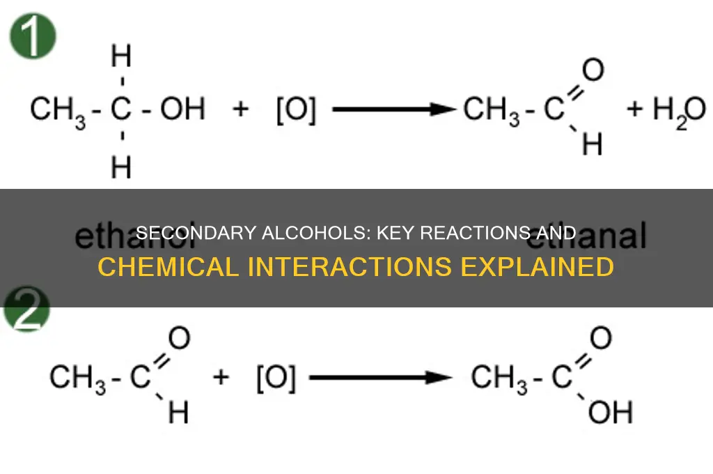 Secondary Alcohols: Key Reactions And Chemical Interactions Explained ...