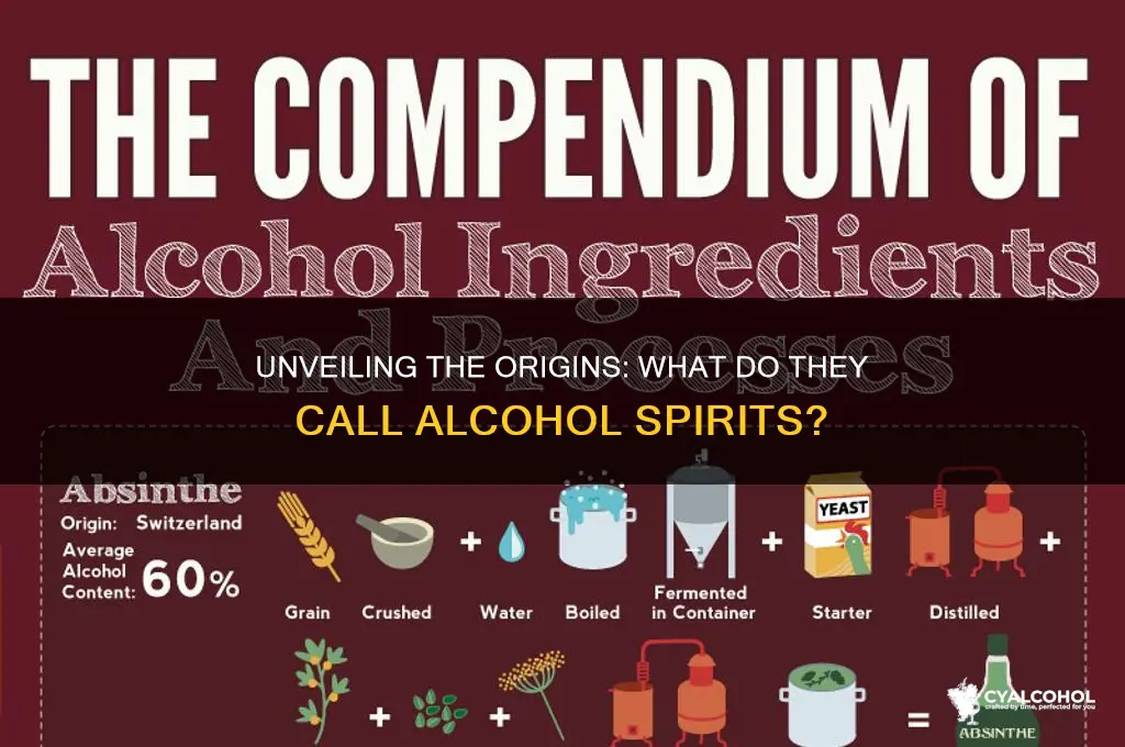 Unveiling The Origins: What Do They Call Alcohol Spirits? | CyAlcohol