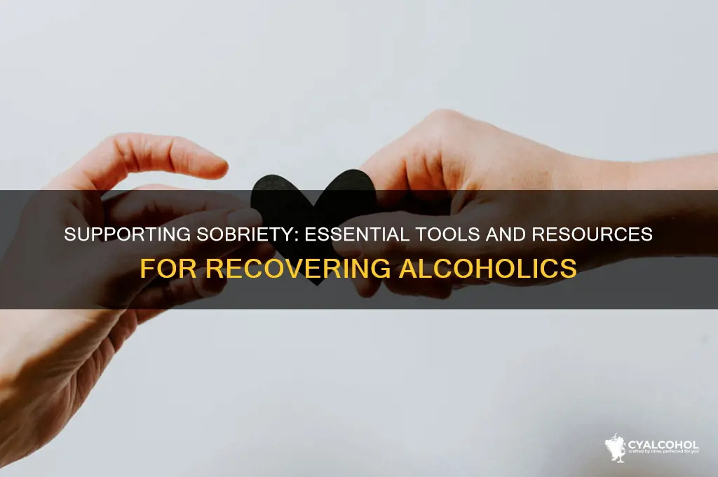 Supporting Sobriety: Essential Tools And Resources For Recovering ...
