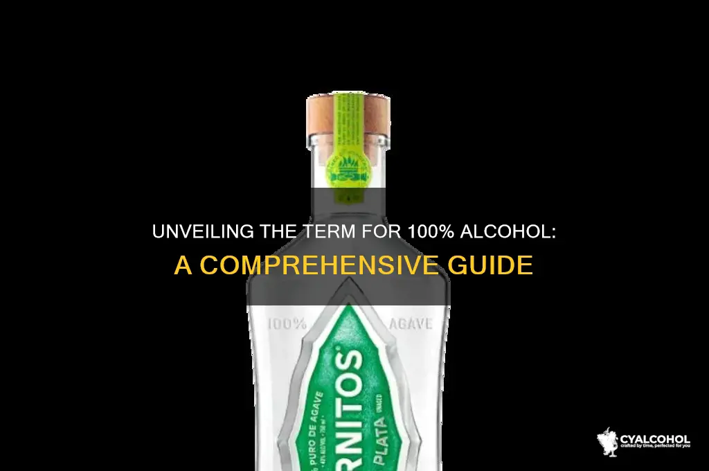 Unveiling The Term For 100% Alcohol: A Comprehensive Guide | CyAlcohol