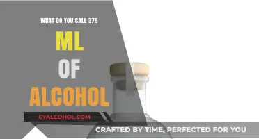Understanding The Standard Alcohol Bottle Size: 750Ml Explained | CyAlcohol