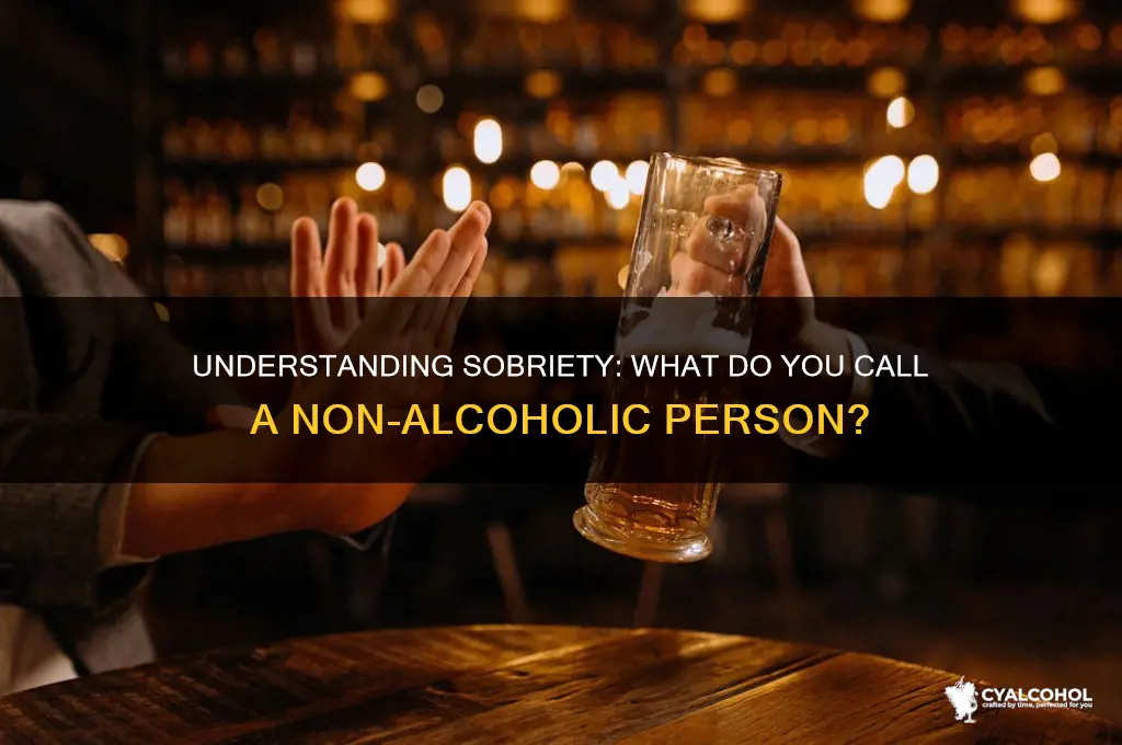 Understanding Sobriety: What Do You Call A Non-Alcoholic Person ...