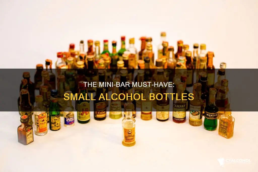 The Mini-Bar Must-Have: Small Alcohol Bottles | CyAlcohol