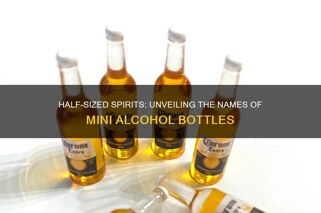 Half-Sized Spirits: Unveiling The Names Of Mini Alcohol Bottles | CyAlcohol