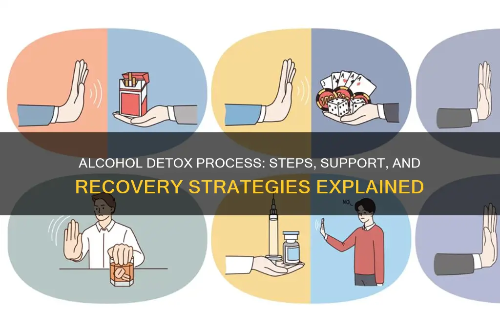 Alcohol Detox Process: Steps, Support, And Recovery Strategies ...