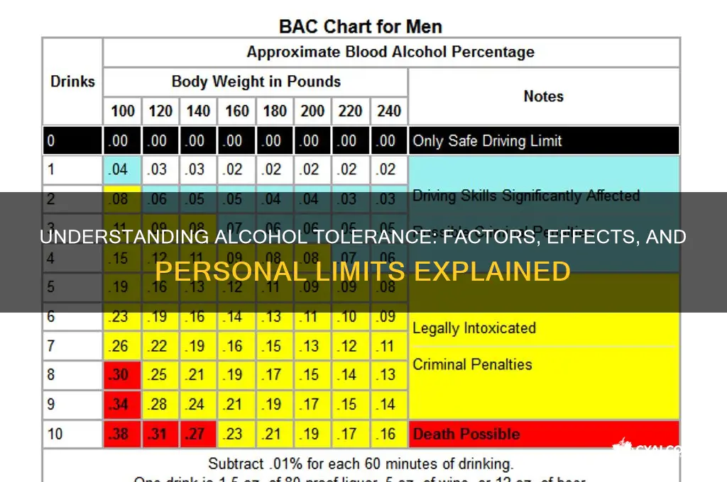 Understanding Alcohol Tolerance: Factors, Effects, And Personal Limits ...