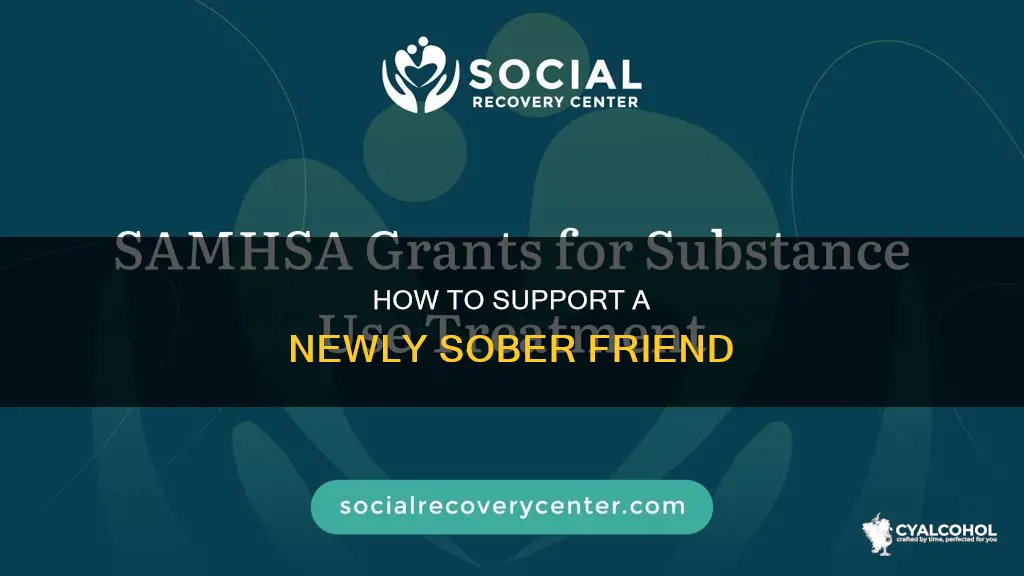 How To Support A Newly Sober Friend | CyAlcohol