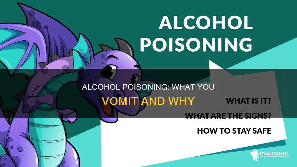Alcohol Poisoning: What You Vomit And Why | CyAlcohol