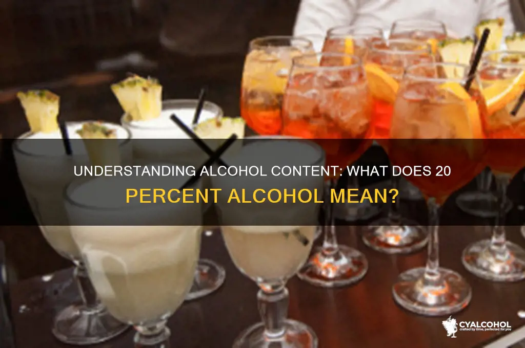 Understanding Alcohol Content: What Does 20 Percent Alcohol Mean ...