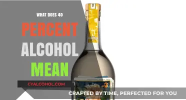 Understanding A Fifth Of Alcohol: Measurements, Uses, And Facts | CyAlcohol
