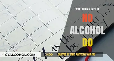 Understanding Alcohol Content: What 5 Percent Abv Really Means | CyAlcohol