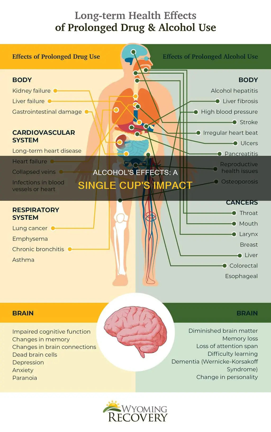 Alcohol's Effects: A Single Cup's Impact | CyAlcohol