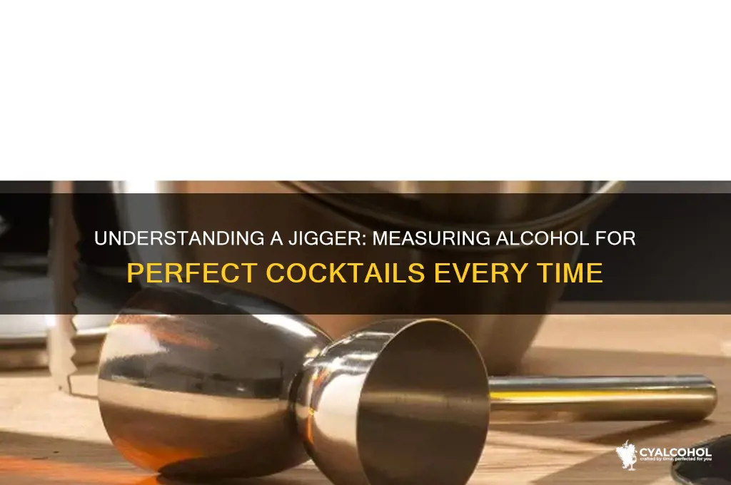 Understanding A Jigger: Measuring Alcohol For Perfect Cocktails Every ...