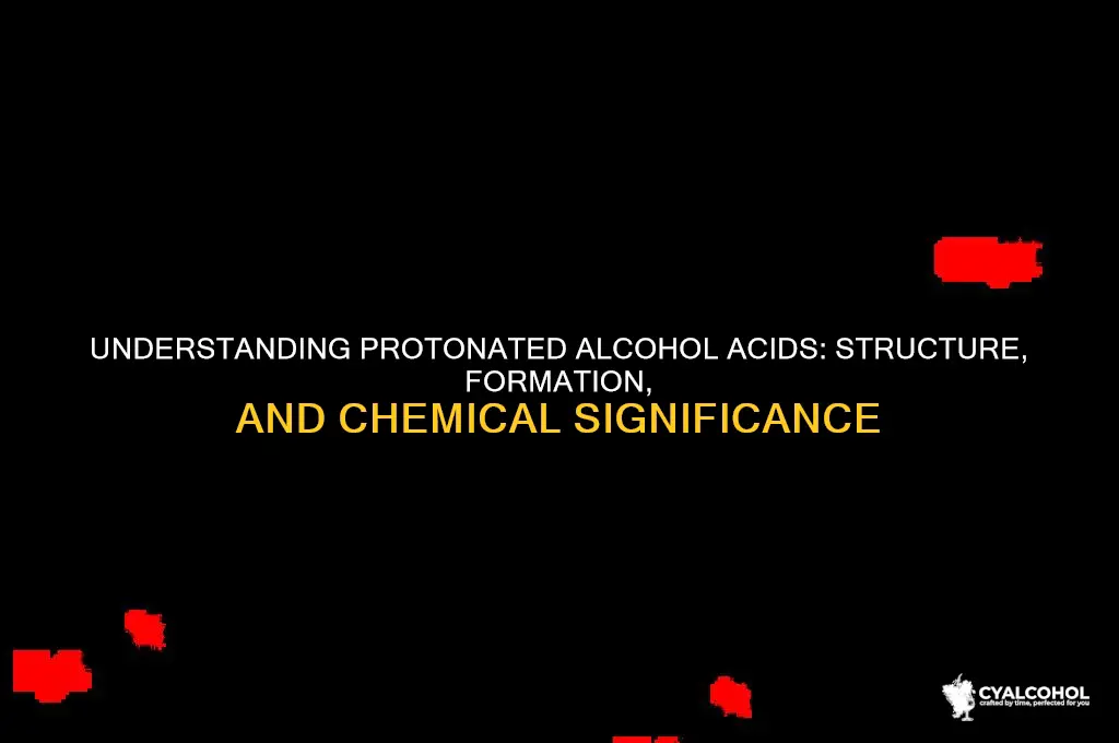 Understanding Protonated Alcohol Acids: Structure, Formation, And ...