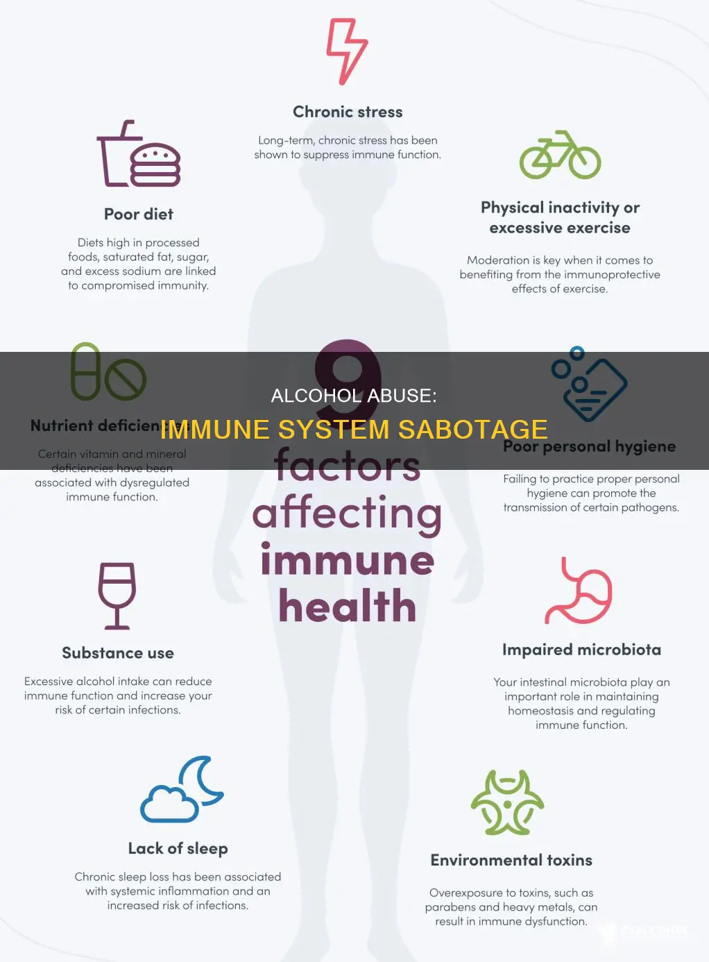 Alcohol Abuse: Immune System Sabotage | CyAlcohol