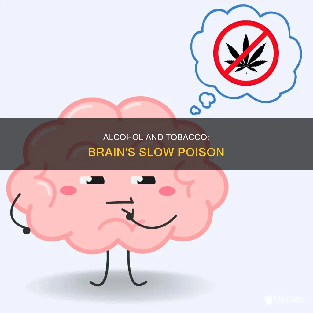 Alcohol And Tobacco: Brain's Slow Poison | CyAlcohol