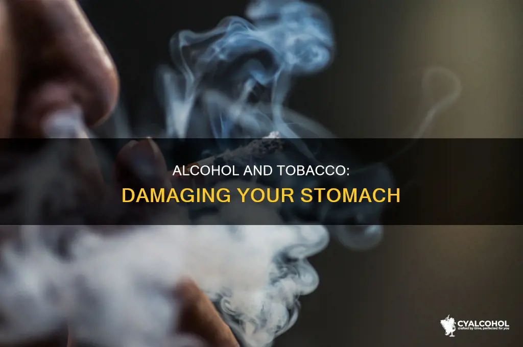 Alcohol And Tobacco: Damaging Your Stomach | CyAlcohol