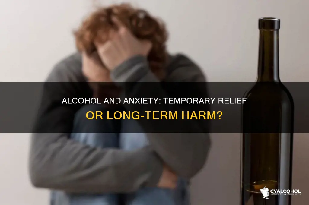 Alcohol And Anxiety: Temporary Relief Or Long-Term Harm? | CyAlcohol