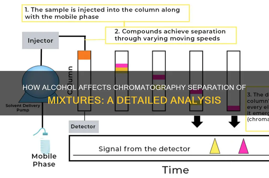 How Alcohol Affects Chromatography Separation Of Mixtures: A Detailed ...