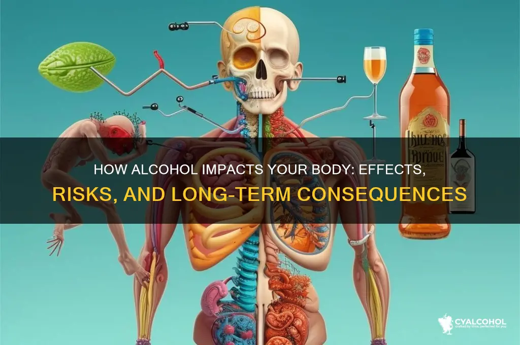 How Alcohol Impacts Your Body: Effects, Risks, And Long-Term ...