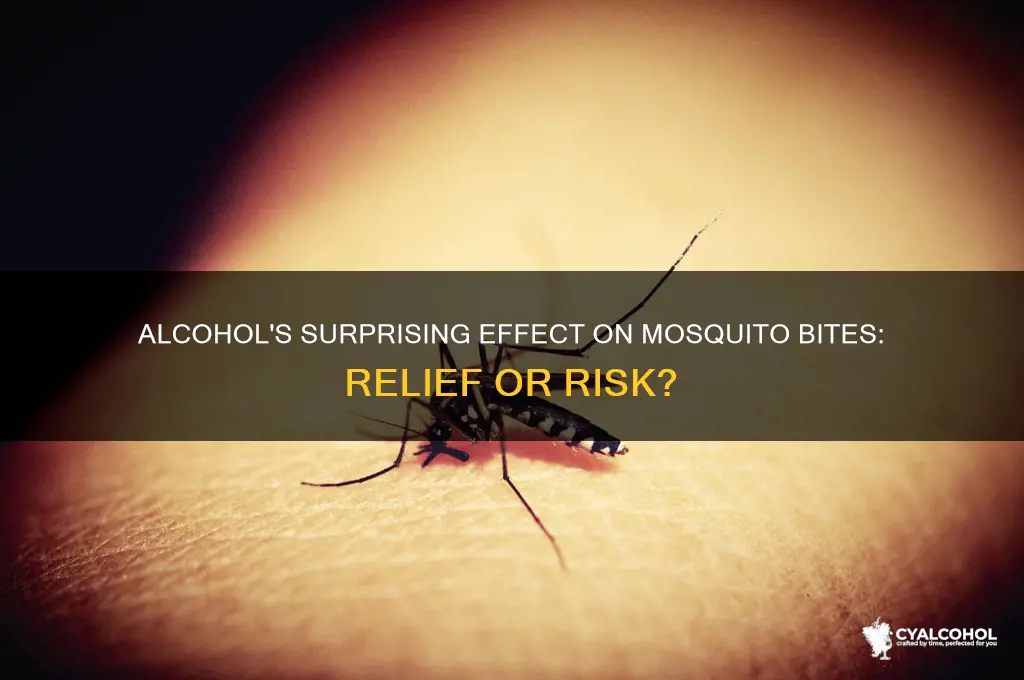 Alcohol's Surprising Effect On Mosquito Bites: Relief Or Risk? | CyAlcohol