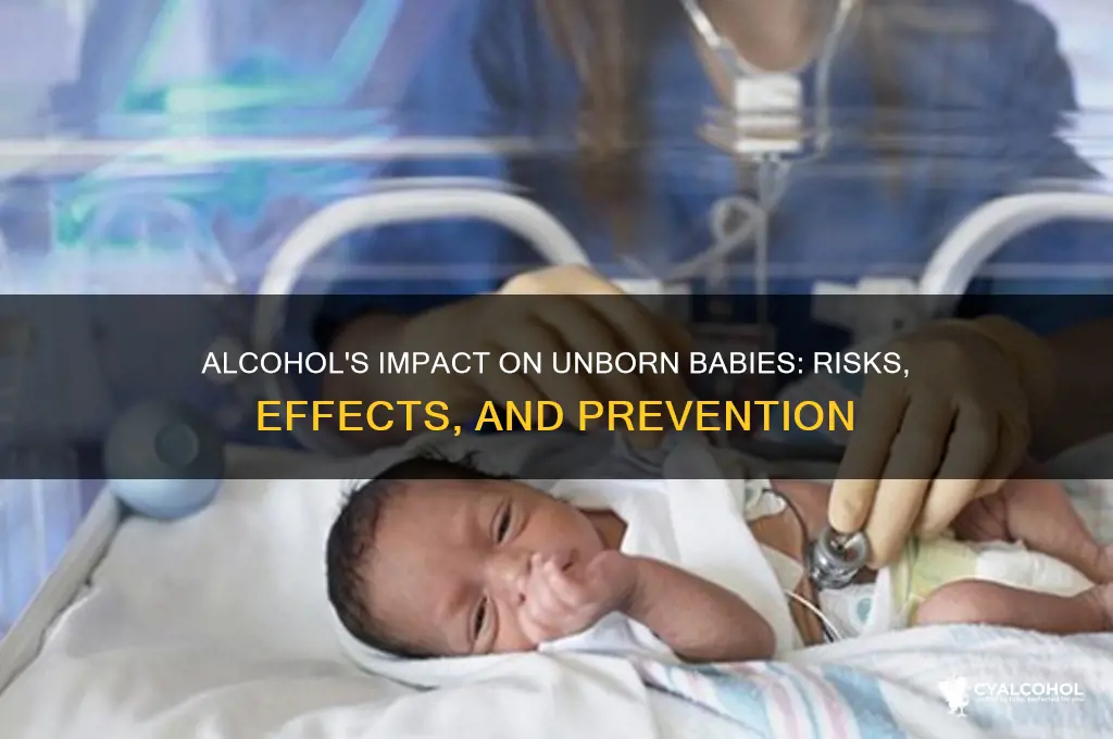 Alcohol's Impact On Unborn Babies: Risks, Effects, And Prevention ...