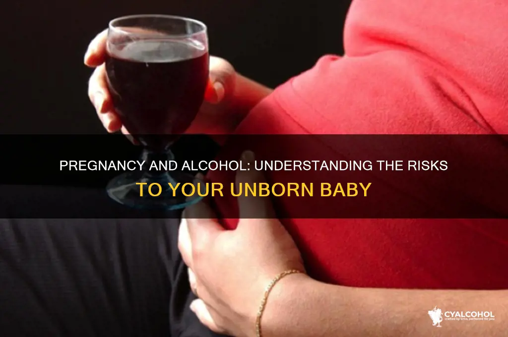 Pregnancy And Alcohol: Understanding The Risks To Your Unborn Baby ...