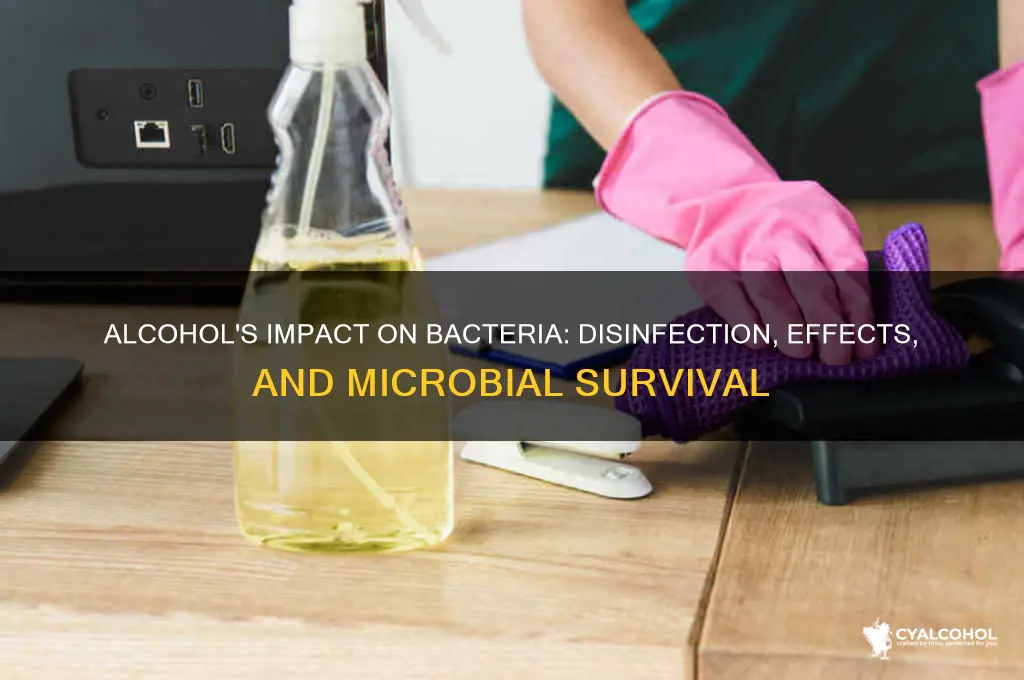 Alcohol's Impact On Bacteria: Disinfection, Effects, And Microbial ...