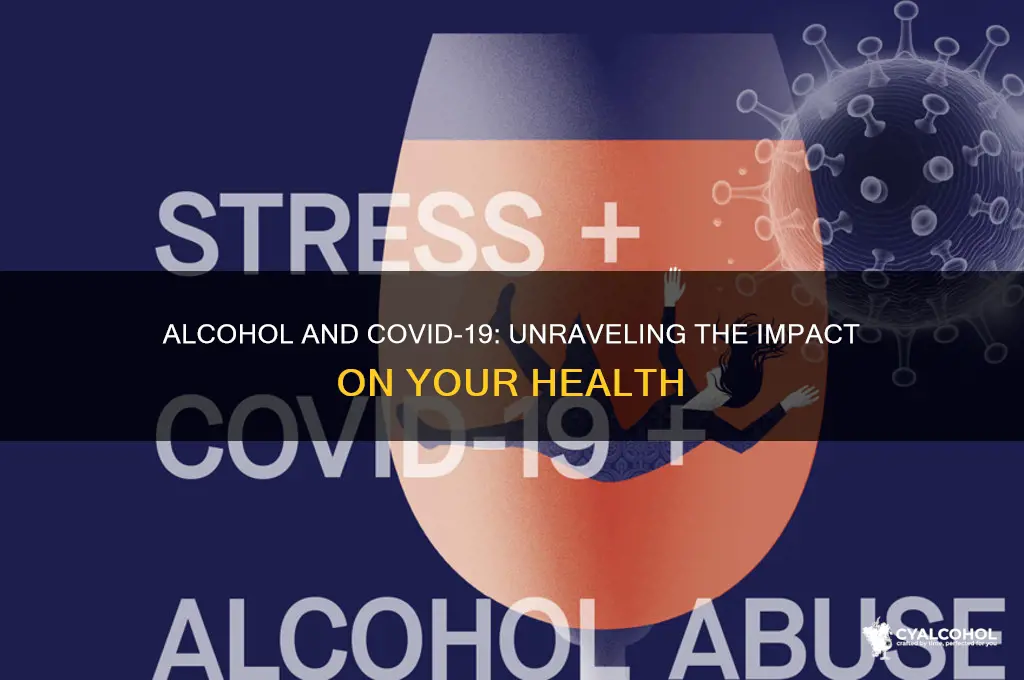 Alcohol And Covid-19: Unraveling The Impact On Your Health | CyAlcohol