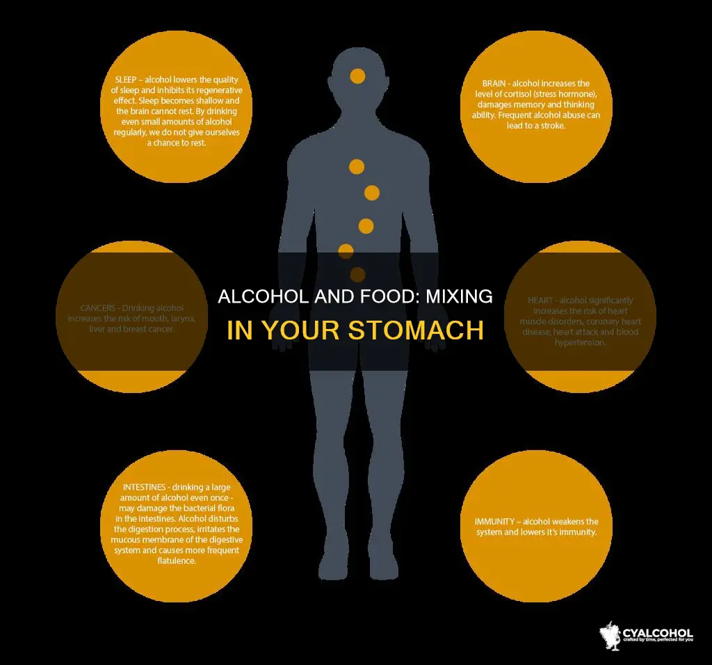 Alcohol And Food: Mixing In Your Stomach | CyAlcohol