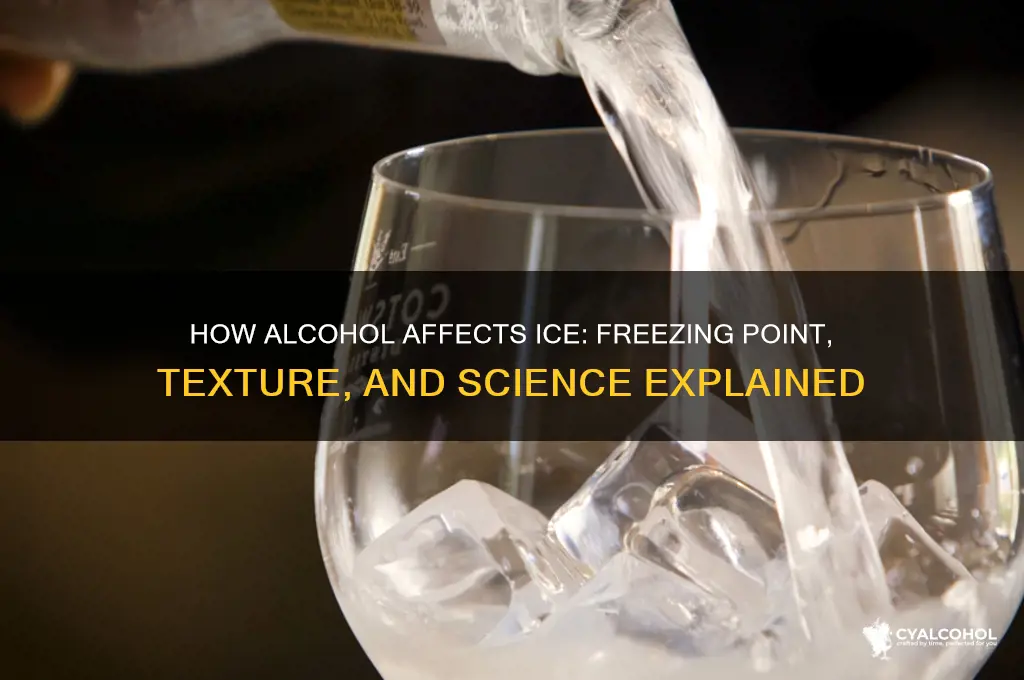 How Alcohol Affects Ice: Freezing Point, Texture, And Science Explained ...