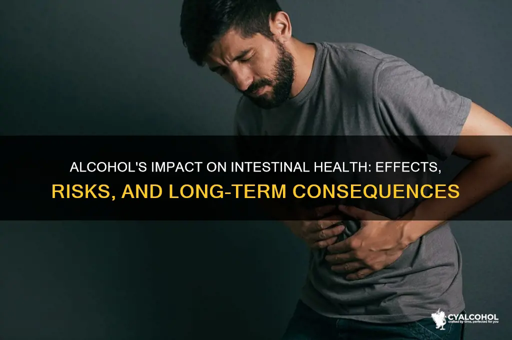 Alcohol's Impact On Intestinal Health: Effects, Risks, And Long-Term ...