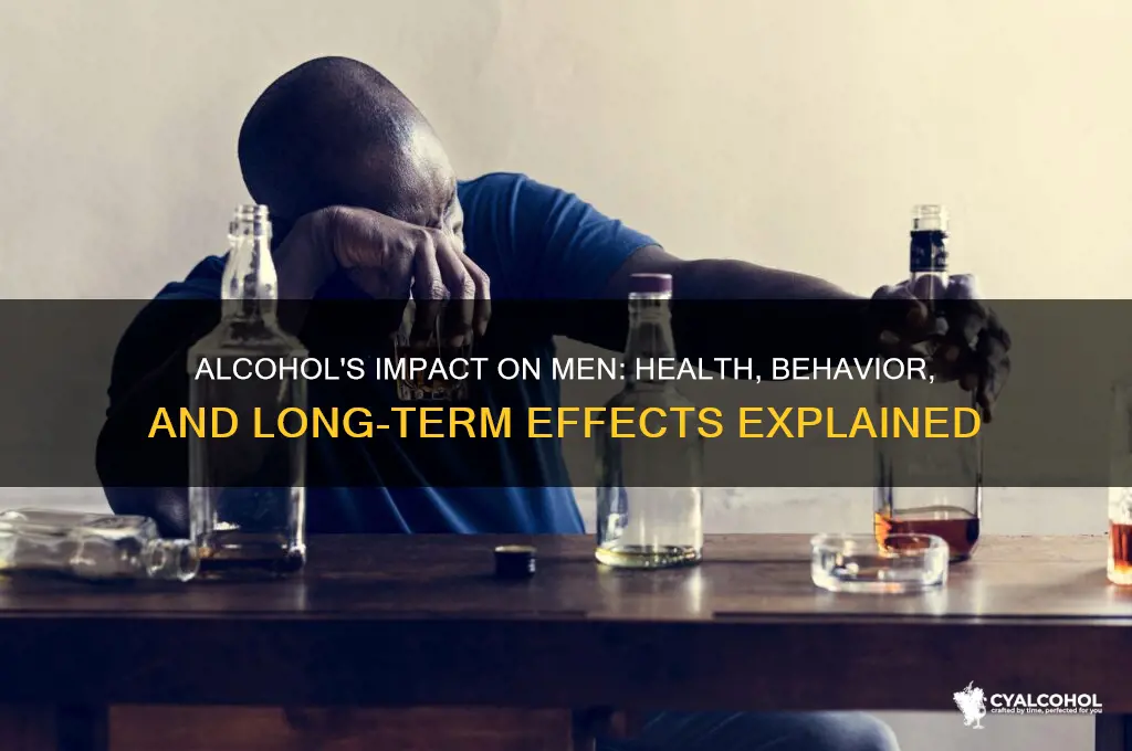 Alcohol's Impact On Men: Health, Behavior, And Long-Term Effects ...
