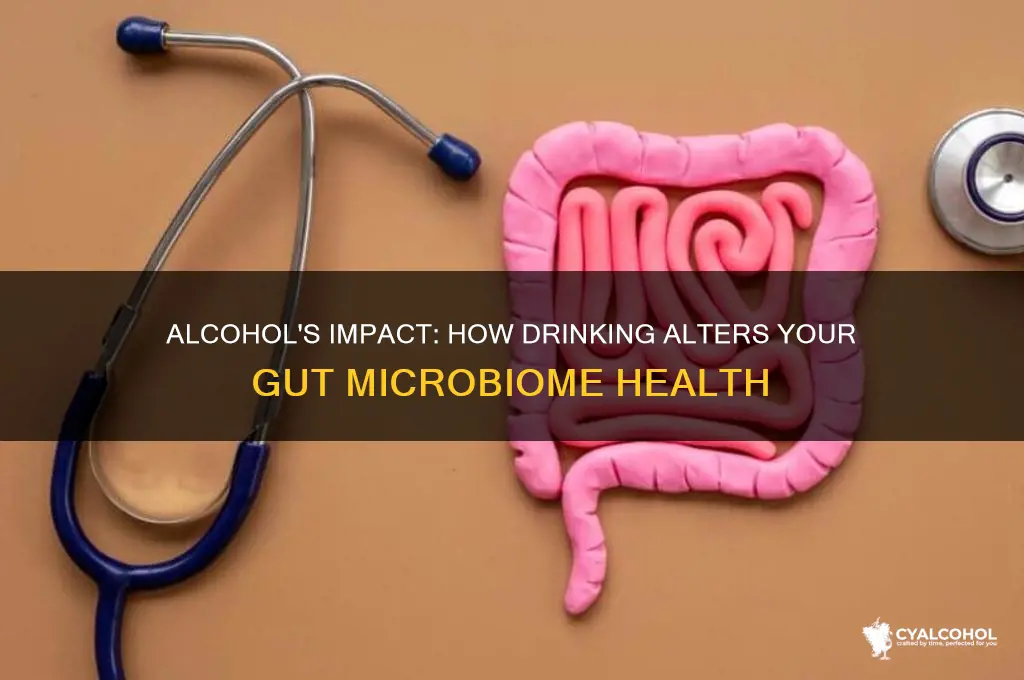 Alcohol's Impact: How Drinking Alters Your Gut Microbiome Health ...