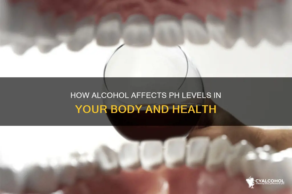 How Alcohol Affects Ph Levels In Your Body And Health | CyAlcohol