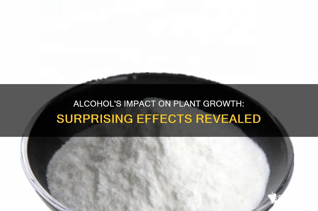 Alcohol's Impact On Plant Growth: Surprising Effects Revealed | CyAlcohol