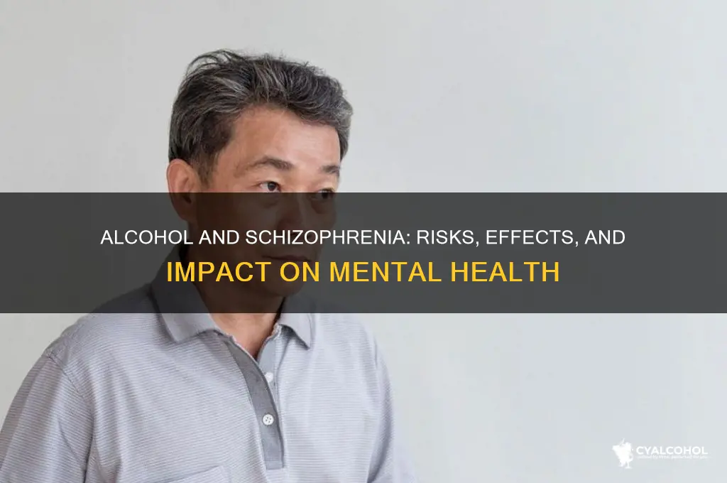 Alcohol And Schizophrenia: Risks, Effects, And Impact On Mental Health ...