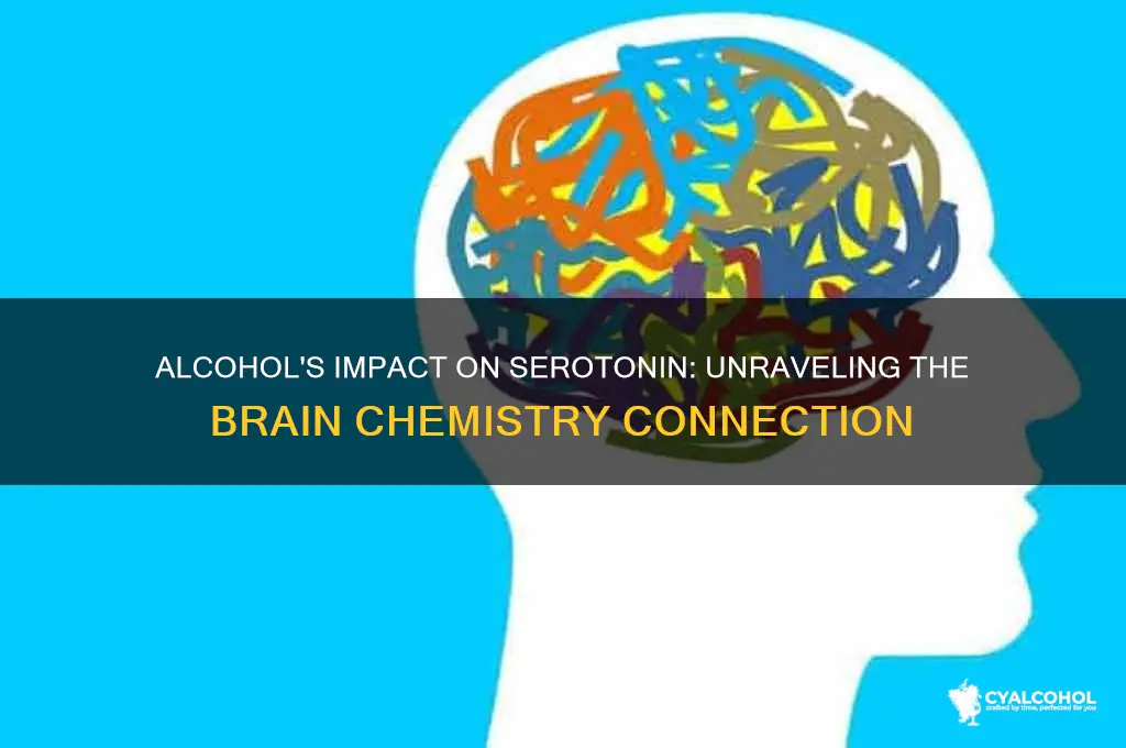 Alcohol's Impact On Serotonin: Unraveling The Brain Chemistry ...