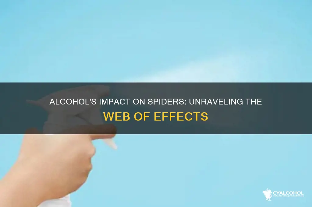 Alcohol's Impact On Spiders: Unraveling The Web Of Effects | CyAlcohol
