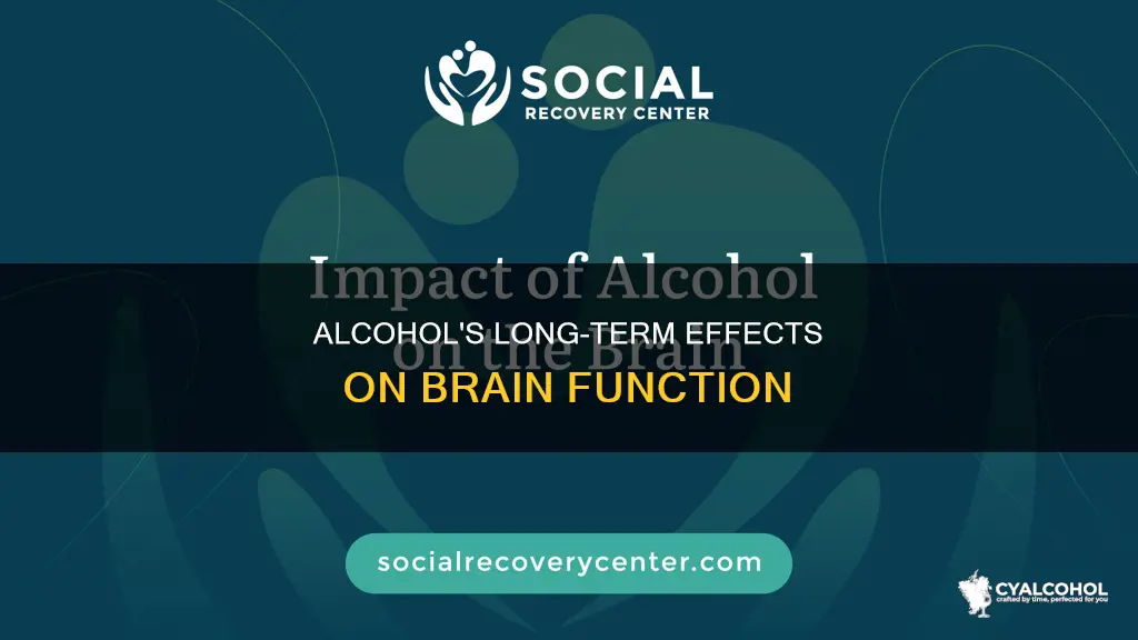 Alcohol's Long-Term Effects On Brain Function | CyAlcohol