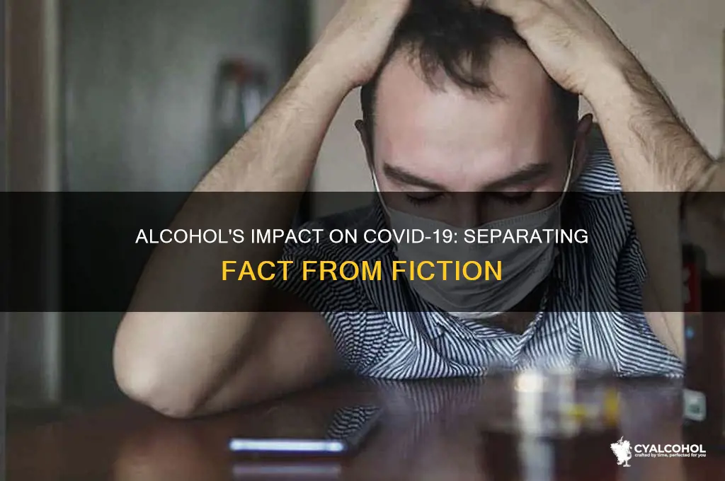 Alcohol's Impact On Covid-19: Separating Fact From Fiction | CyAlcohol