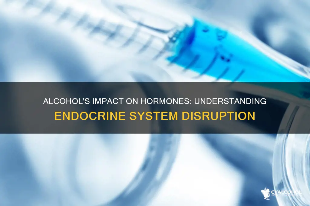 Alcohol's Impact On Hormones: Understanding Endocrine System Disruption ...