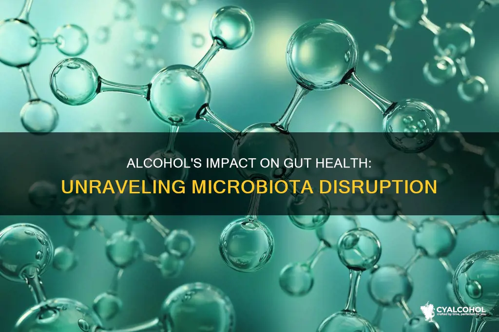 Alcohol's Impact On Gut Health: Unraveling Microbiota Disruption ...