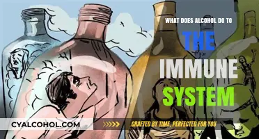 Alcohol's Impact On The Urinary System: Effects And Risks Explained ...