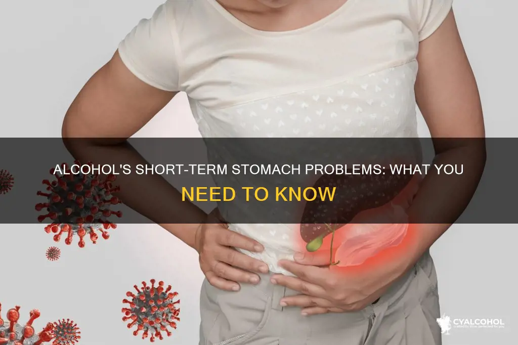 Alcohol's Short-Term Stomach Problems: What You Need To Know | CyAlcohol