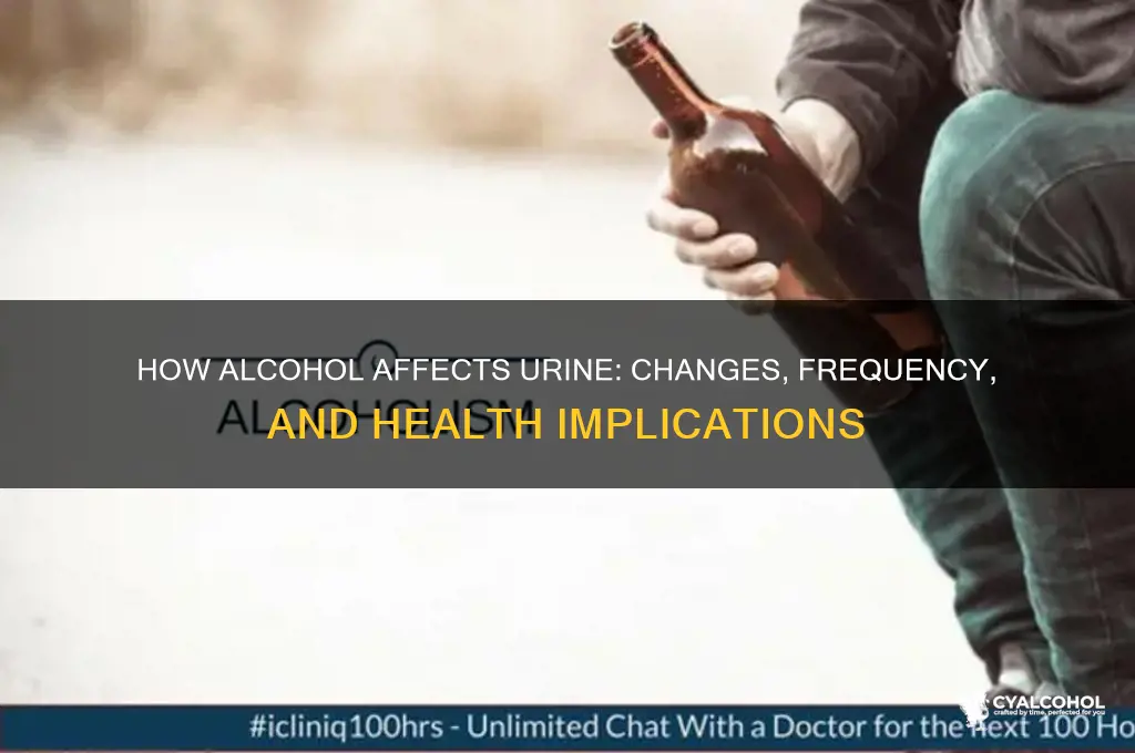 How Alcohol Affects Urine: Changes, Frequency, And Health Implications ...