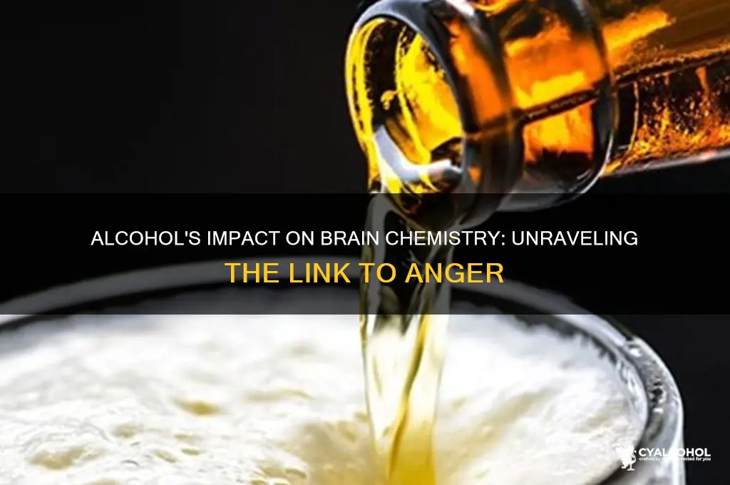 Alcohol's Impact On Brain Chemistry: Unraveling The Link To Anger ...